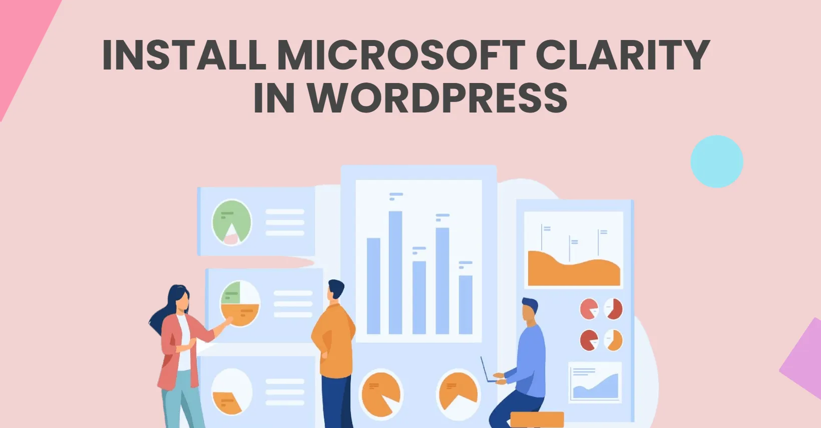 How to Install Microsoft Clarity in WordPress Website